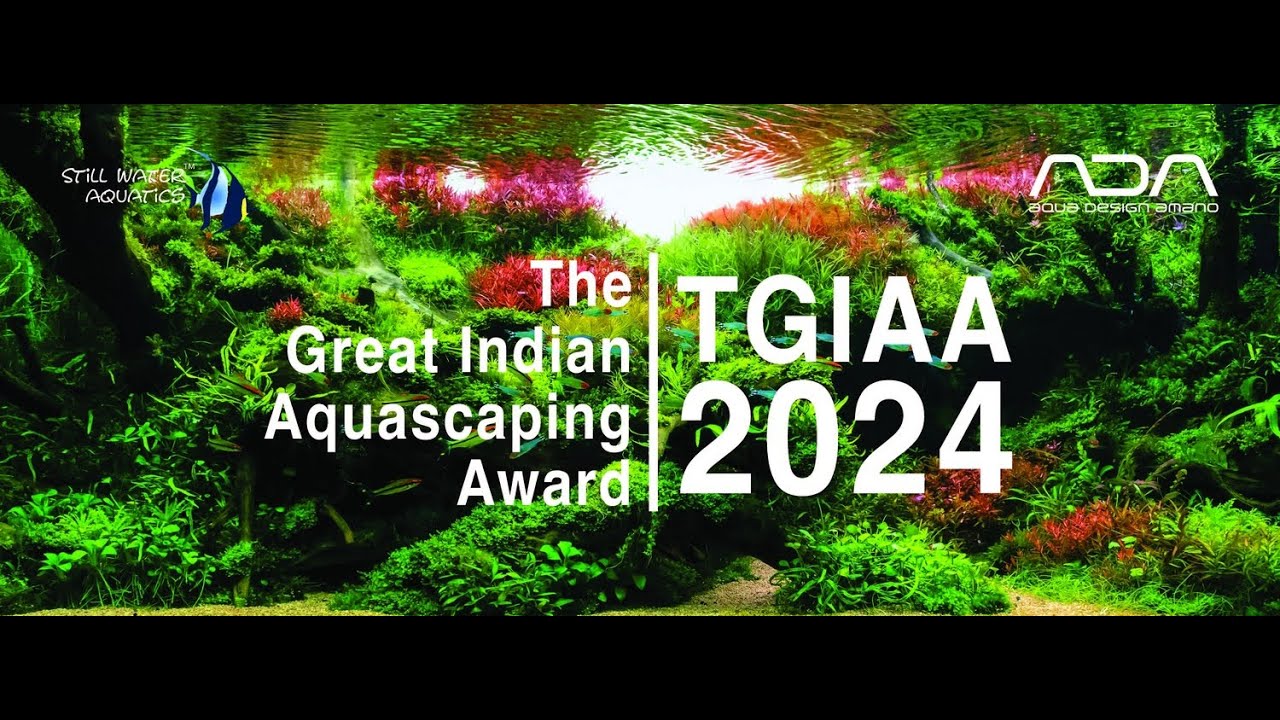 The Great Indian Aquascaping Award 2024 - (TGIAC 2023) - YouTube