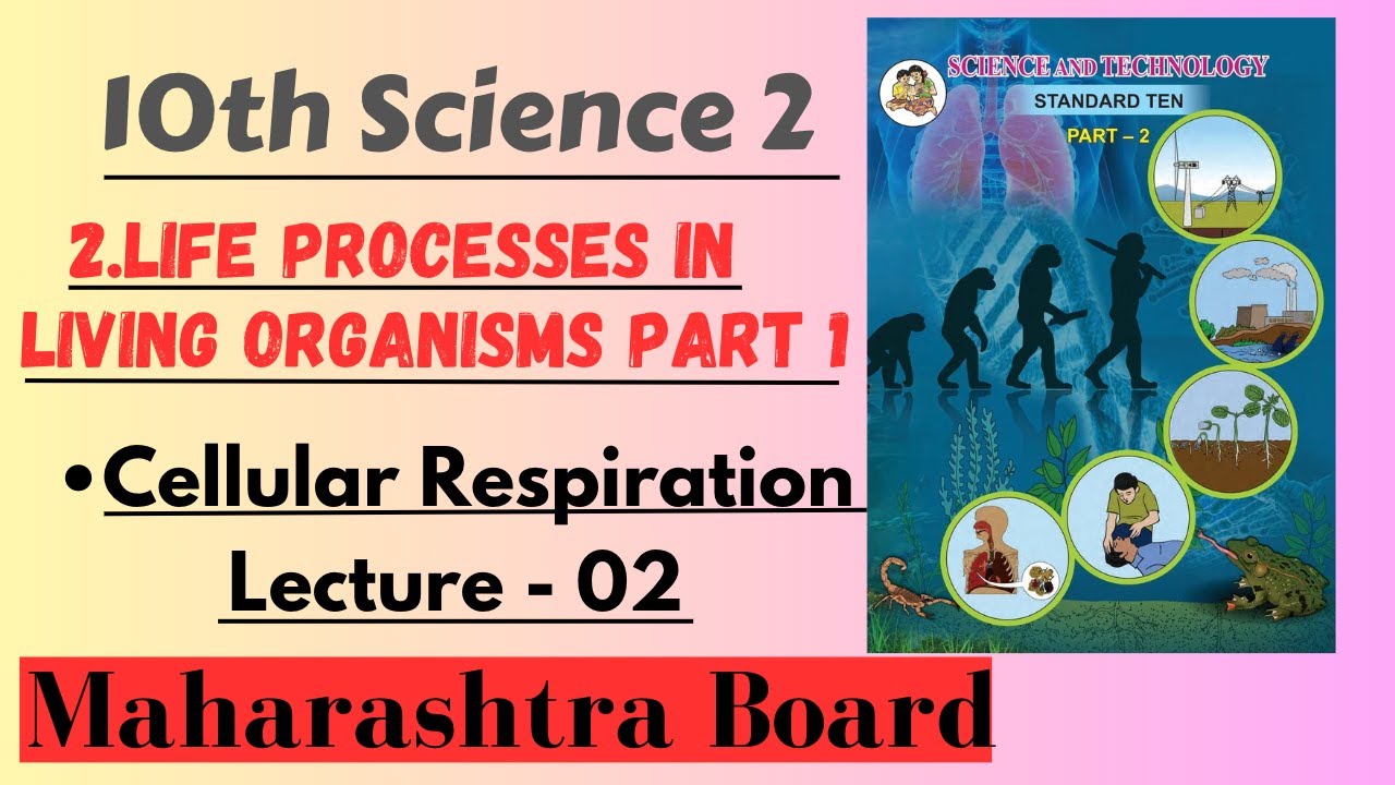 Class 10th Science 2|Chapter 2|Cellular Respiration|Lecture 2|Maharashtra Board|R.S TUTORIALS# ...