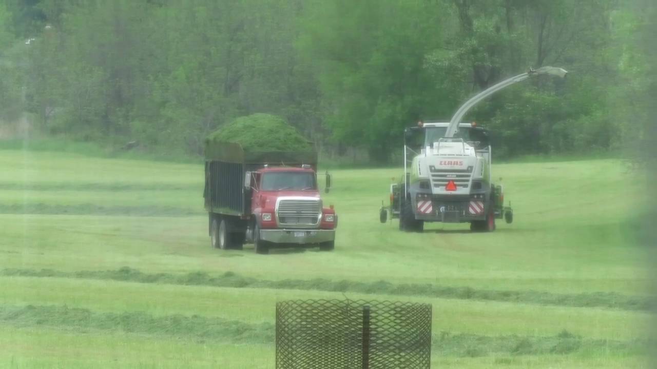 Picking up the chopped hay - YouTube