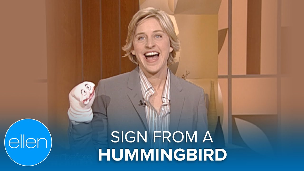 Ellen’s Sign from a Hummingbird - YouTube