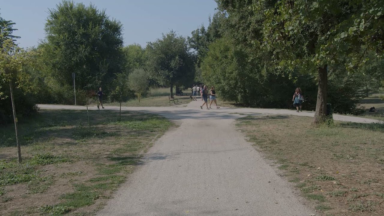 Monica Lucarelli, Roma: riqualificare il verde urbano - YouTube