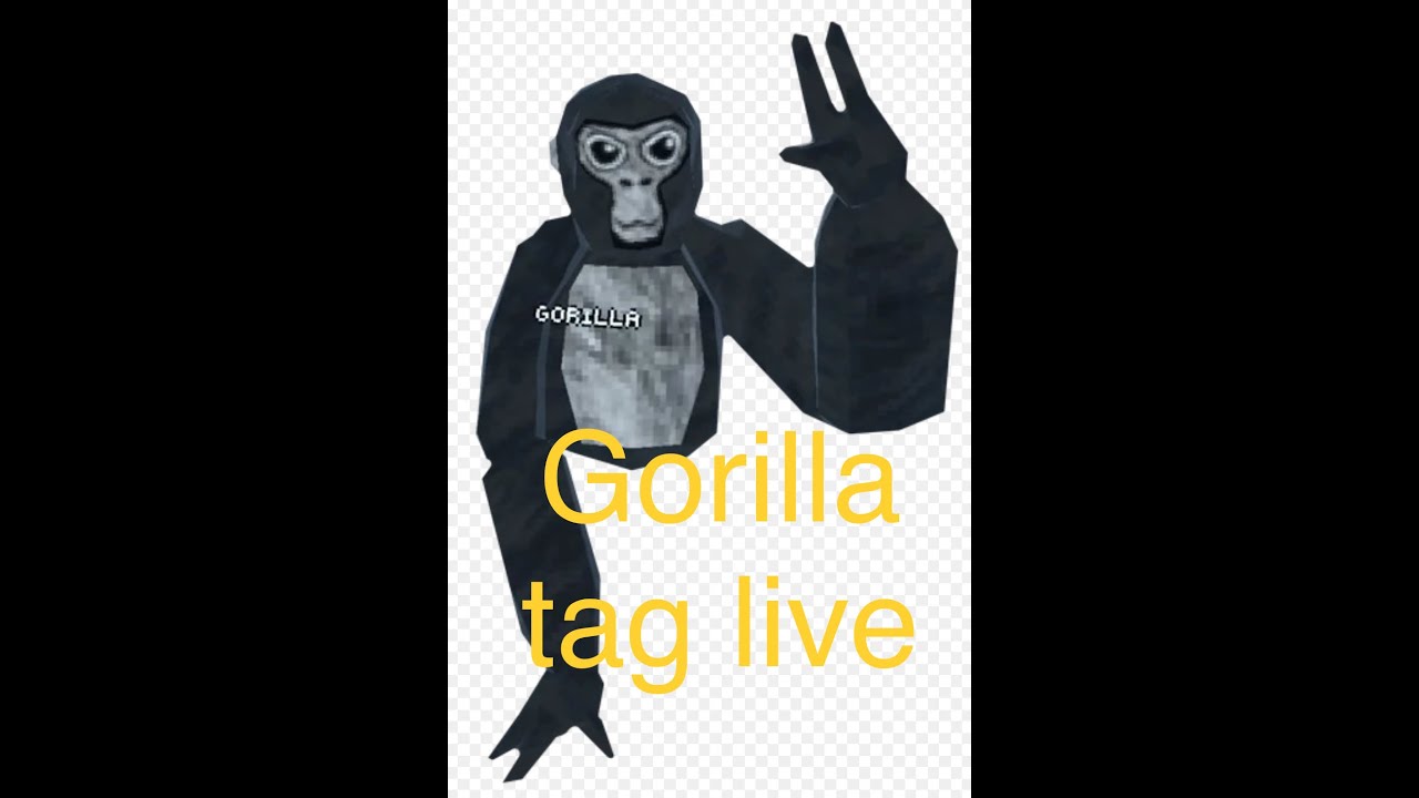 Live gorilla tag (BLACK FRIDAY mini game challenge) - YouTube