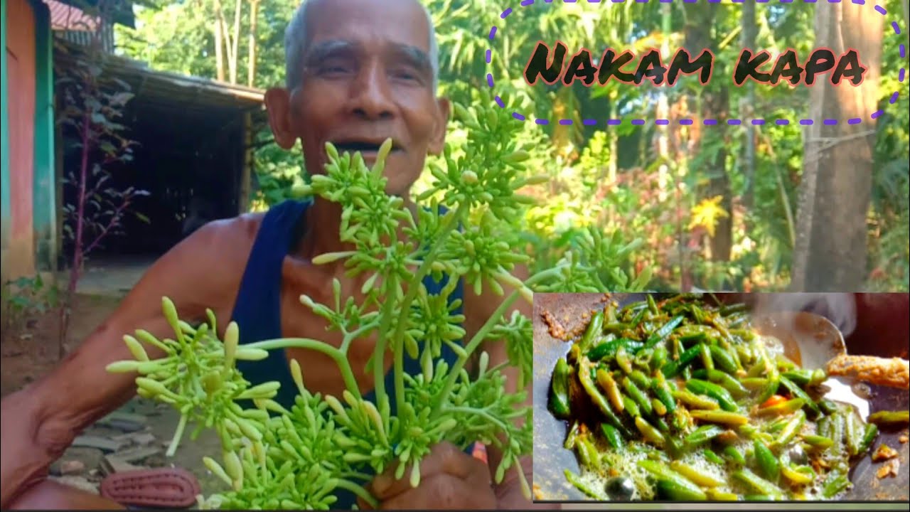 Kapol/apolka nakam kamtata| mamaba nakam songnakengana/@grimchiksangma ...