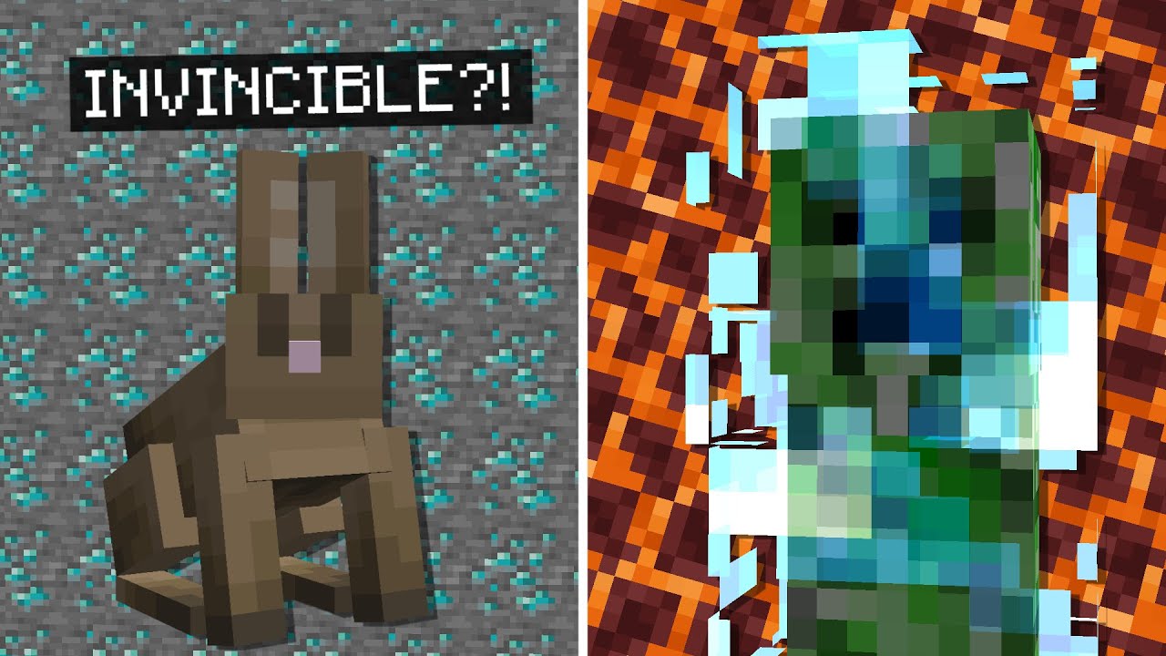 The INVINCIBLE BUNNY?! l Minecraft SMP - YouTube