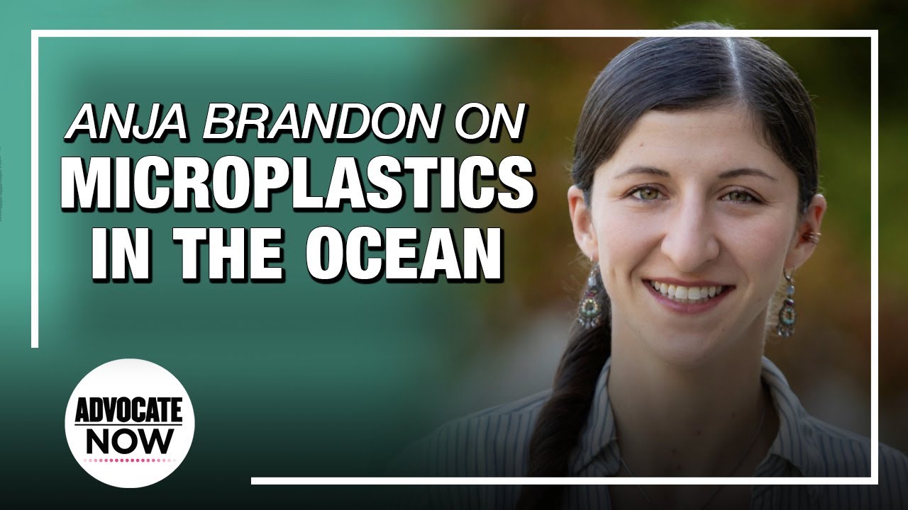 Anja Brandon on Protecting the Oceans - YouTube