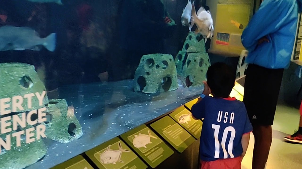 Liberty Science Center Latest - YouTube