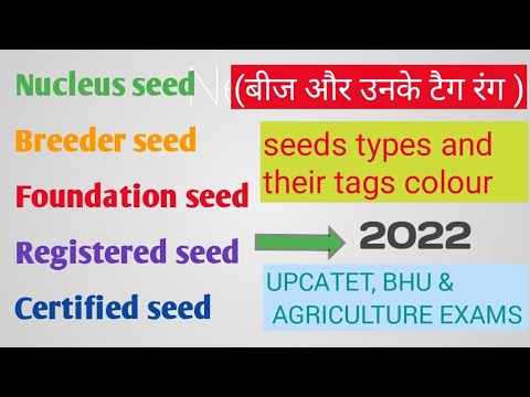 seeds types and their tags colour, breeder seed, Certified seed ...