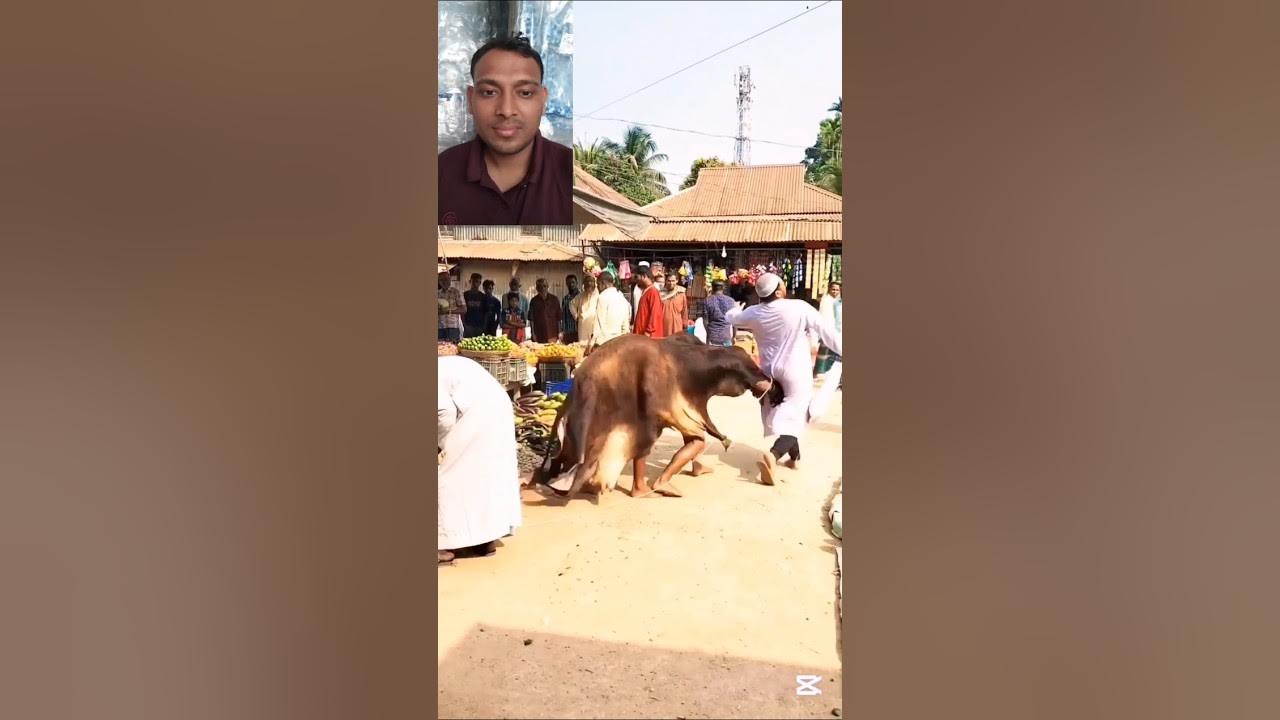 #everyone #funny #comedyfilms #comedy #comedymovies #prank #viralvideo ... #everyone #funny #comedyfilms #comedy #comedymovies #prank #viralvideo ...