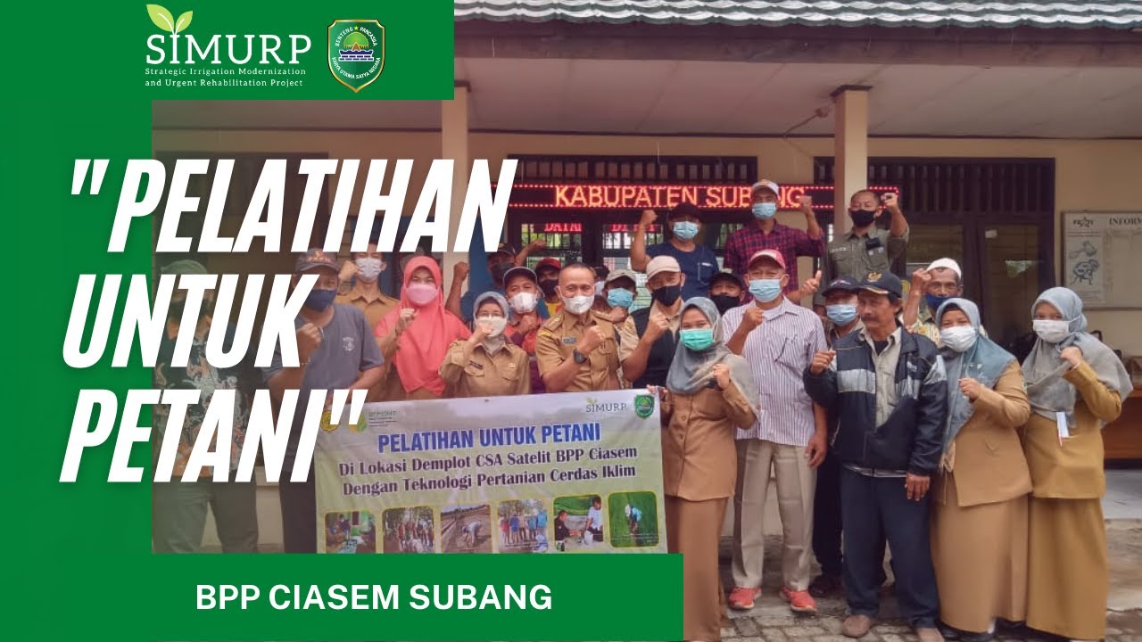 PELATIHAN UNTUK PETANI DEMPLOT CSA SATELIT BPP CIASEM SIMURP 2021 - YouTube
