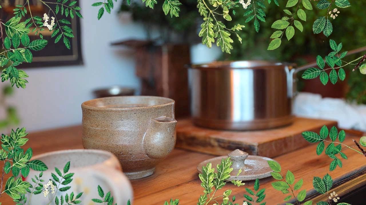 Pine Needle Tea | Wild Foraged Tea - YouTube