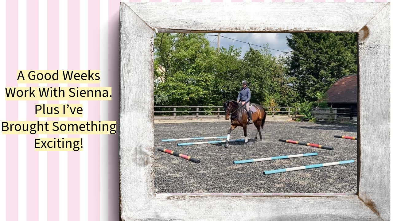 It’s Been A Good Week | Plus I’ve Brought Something Exciting - YouTube
