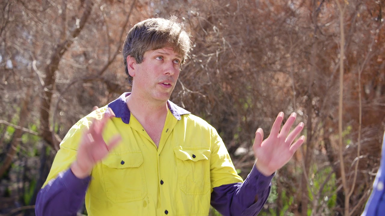 The Garden Gurus - The Problem of Rain - YouTube