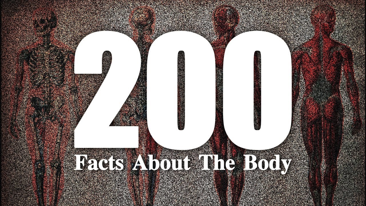 200 Facts About The Human Body - YouTube