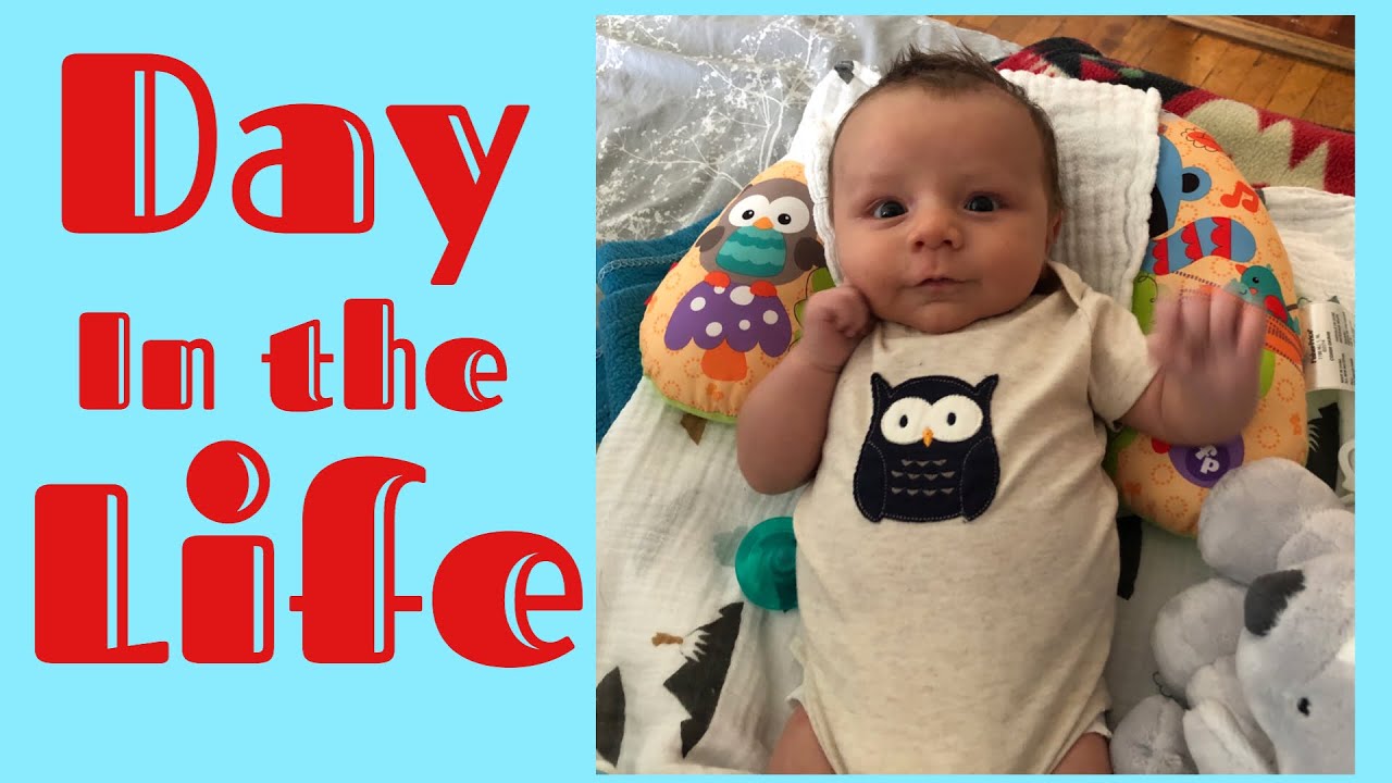 Day In The Life Of A Newborn 6 Weeks Old House Tour YouTube day-in-the-life-of-a-newborn-6-weeks-old-house-tour-youtube