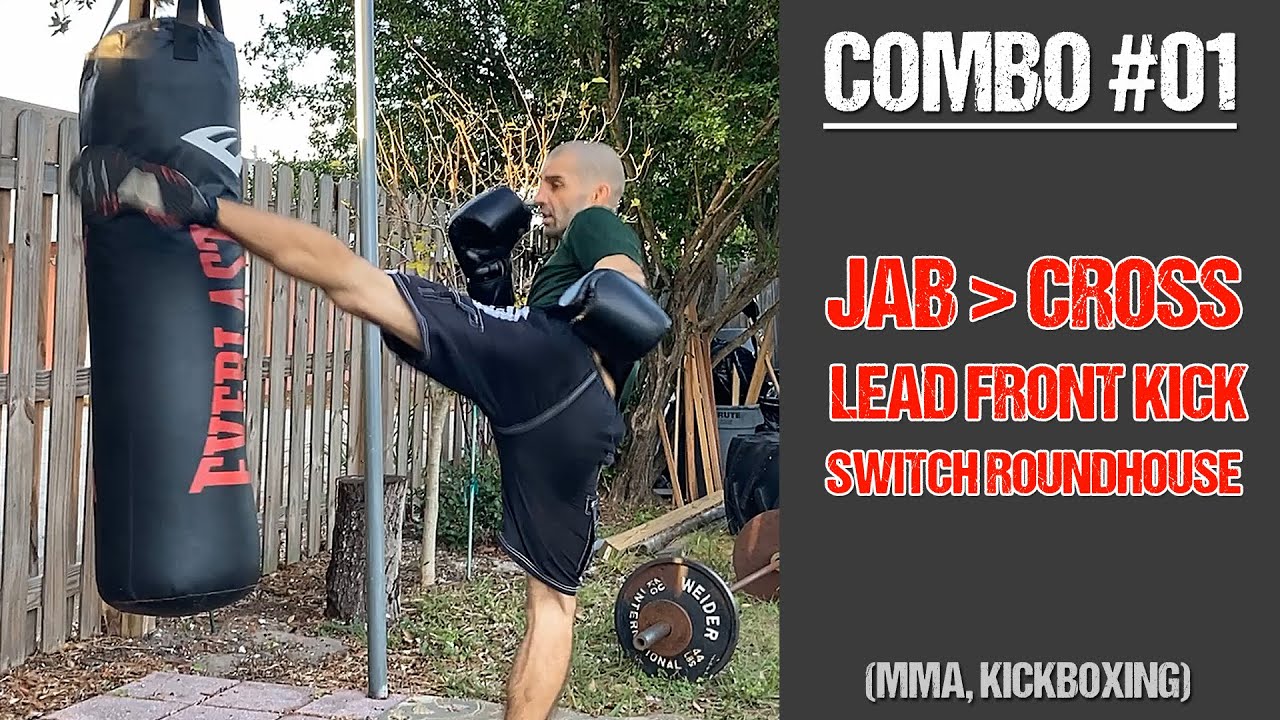 Fight Finish Combo 01: Jab - Cross - Lead Front Kick to High Roundhouse ...