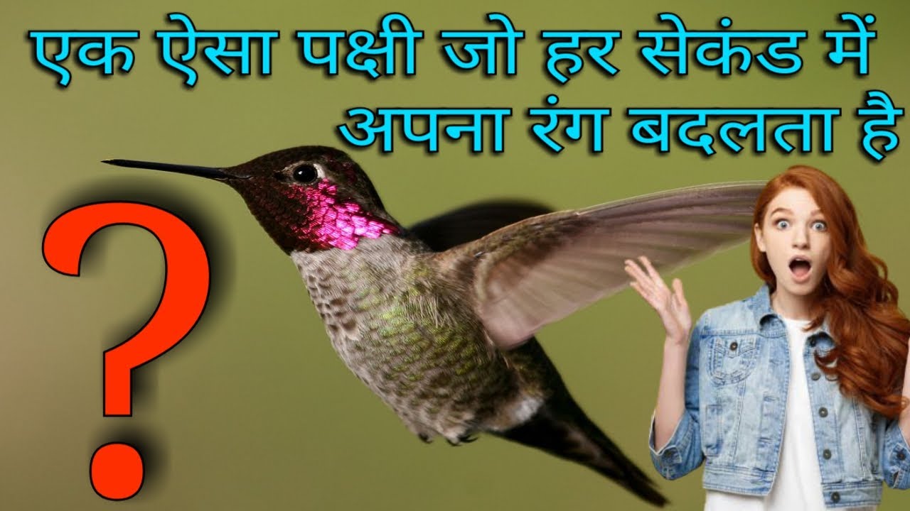 12 Interesting Facts About Animals In 12-interesting-facts-about-animals-in