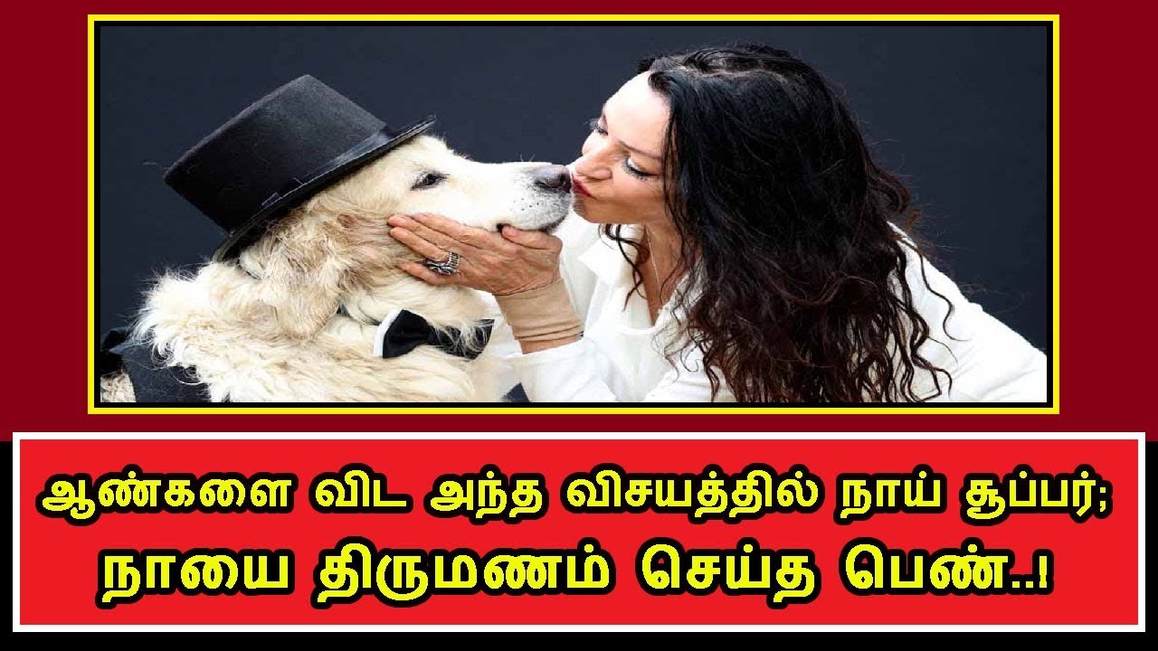 ஆண்களை விட நாய் சூப்பர்; நாயை திருமணம் செய்த பெண்..! | Model Elizabeth ...