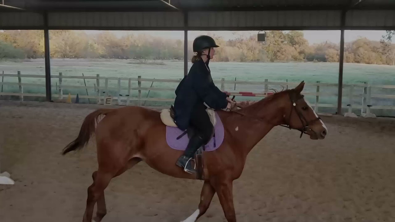 Trinity River Farm & Equestrian Center - YouTube