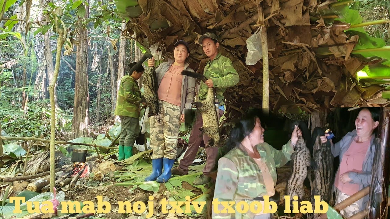 nrhiav kev Kaj siab nyob nrog hav zoov hav tsuag # 2 (tuab mab lom zem ...