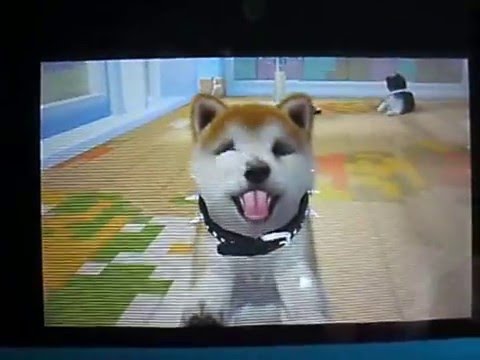 Nintendogs and cats-My 4 new dogs-digga dawg. - YouTube