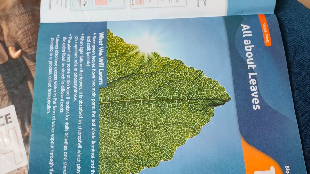 GRADE 4 XSEED SCIENCE BLOCK 1 ALL ABOUT LEAVES WITH WORK BOOK #xseed ...