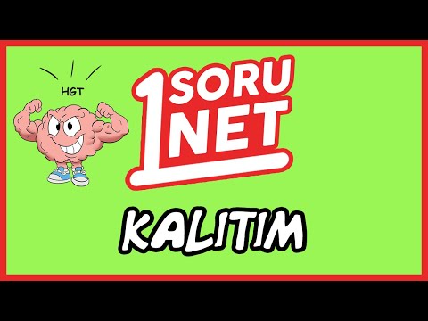 Kalıtım /172/2 / TYT Biyoloji
