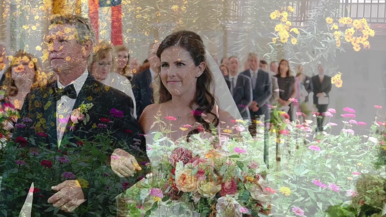 Golden Day - YouTube