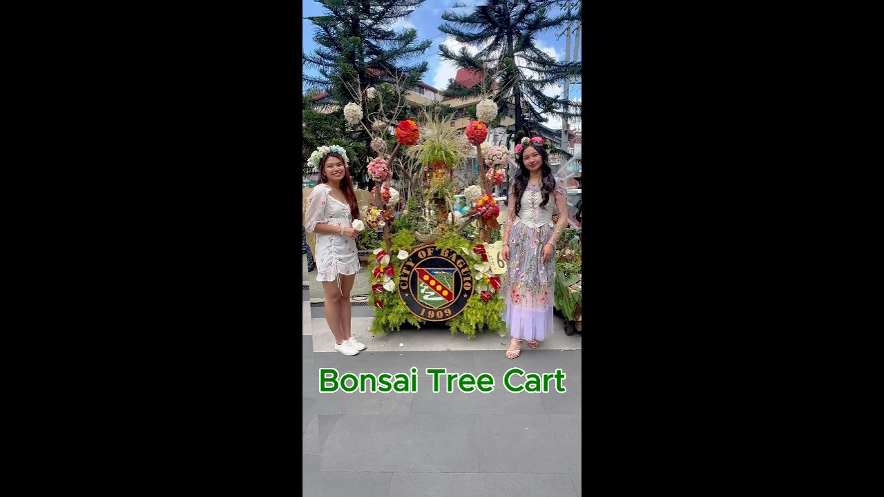 Saleng Bonsai Tree Cart 2024 - YouTube