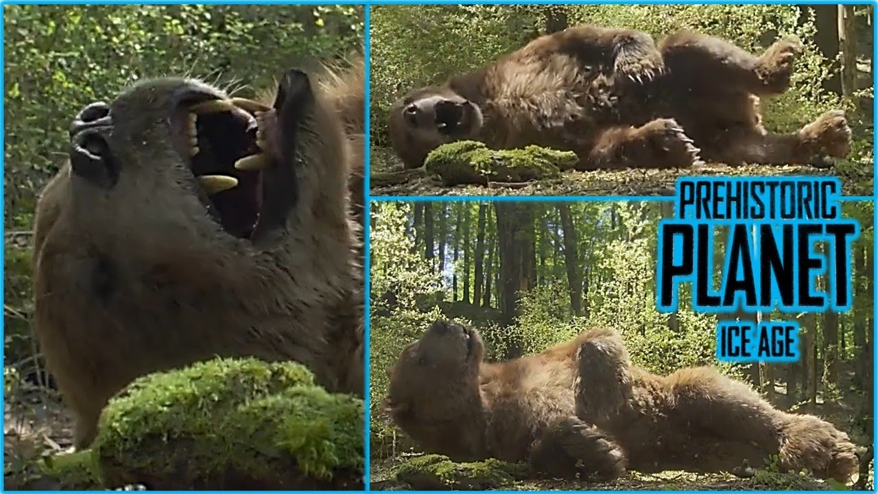 Arctotherium prehistoric Planet Ice Age official clip - YouTube