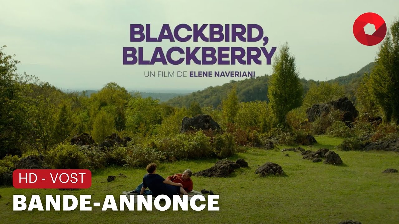 BLACKBIRD, BLACKBERRY de Elene Naveriani : bande-annonce [HD-VOST] | 13 ...