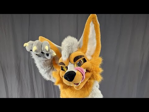 INSANE FURSUIT KARATE!!! - YouTube