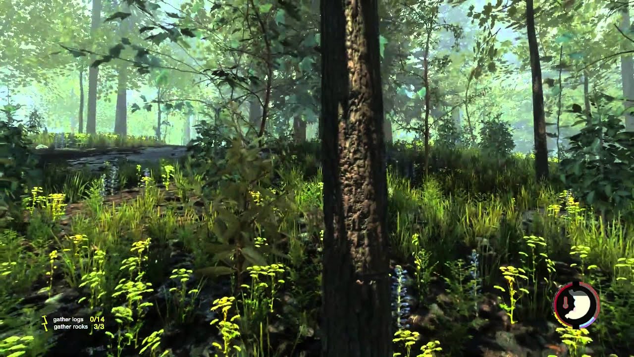 The Forest PC Walkthrough Part 1 - YouTube