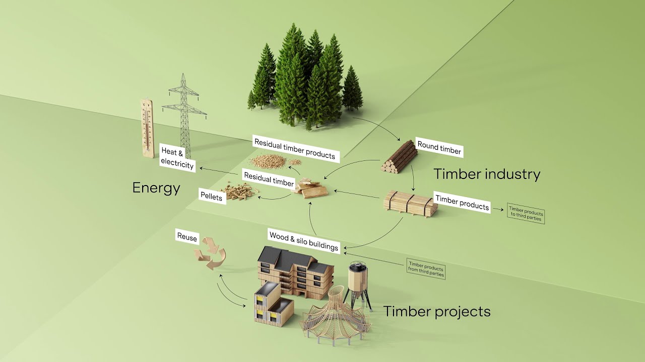 Wood cycle | Timber industry | Timber construction | Silo and plant ...
