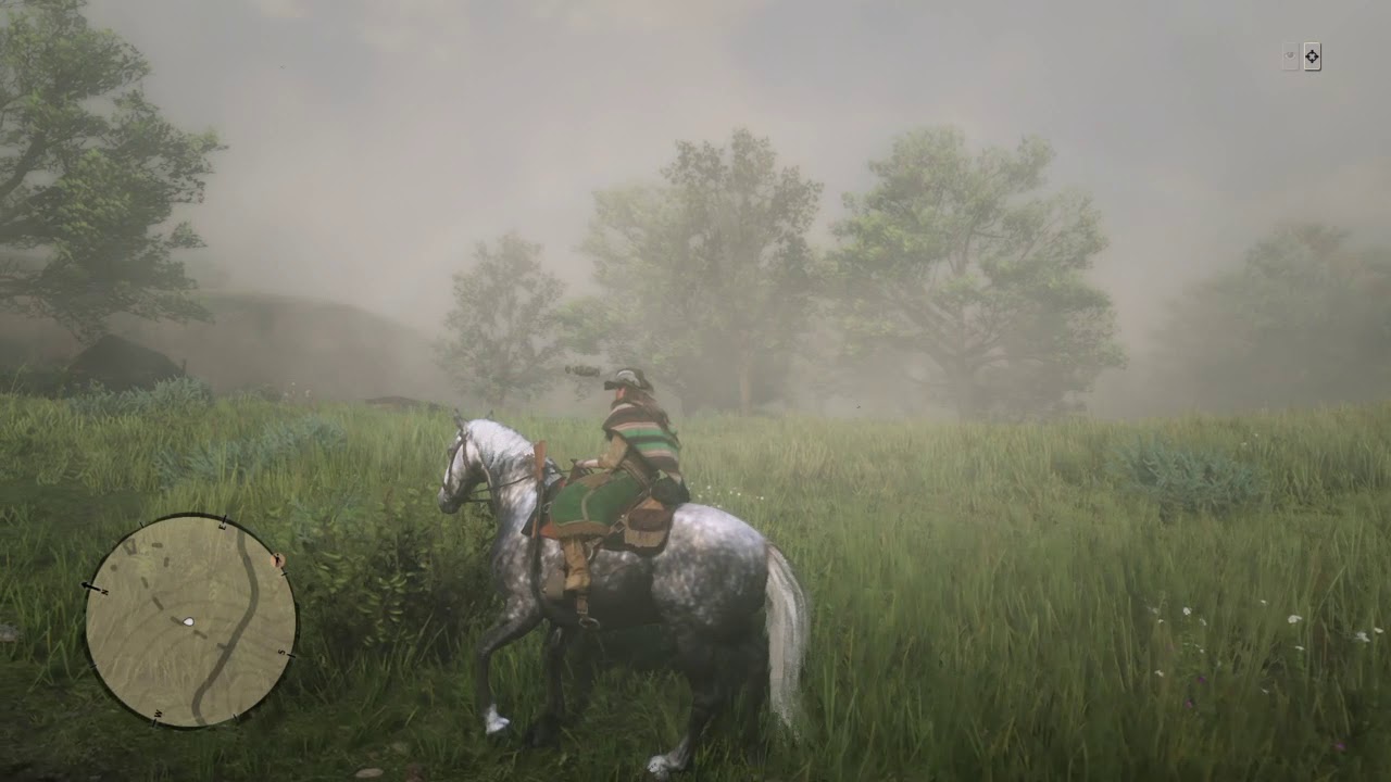 Red Dead Redemption 2: Poop Glitch - YouTube