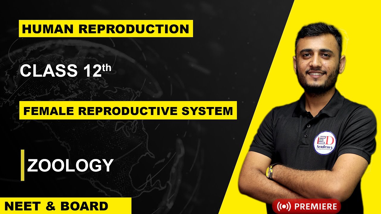 FEMALE REPRODUCTIVE SYSTEM |PART-2 | Zoology | NEET / Board | By Manoj ...