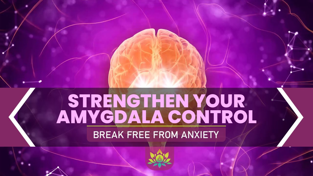 Strengthen Your Amygdala Control | Break Free From Anxiety,Trauma, Fear & Stress Loop ...