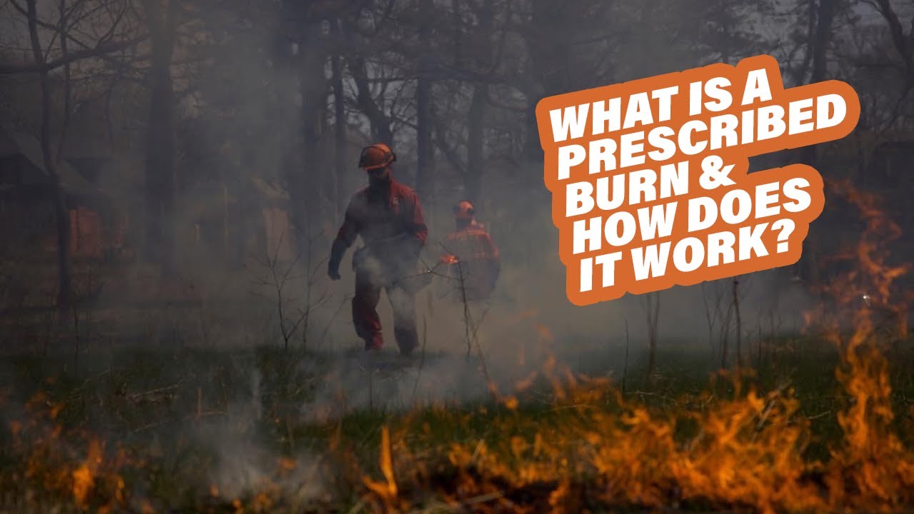What Is A Prescribed Burn & How Does It Work? - YouTube
