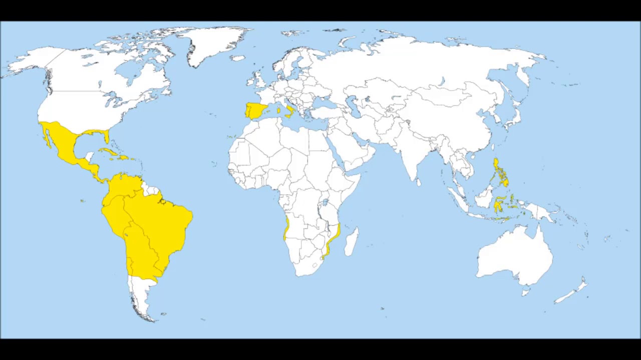 Rise and Fall of the Spanish Empire - YouTube