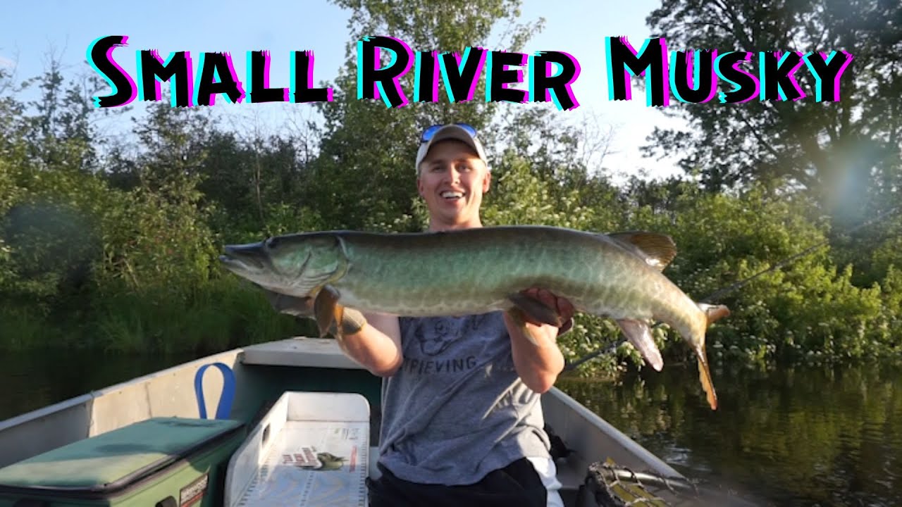 MUSKY FISHING SMALL RIVER!!! (Day 1) - YouTube