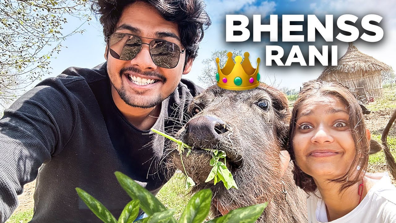 Bhenss Rani 👑😪 | The Roamer Amit - YouTube