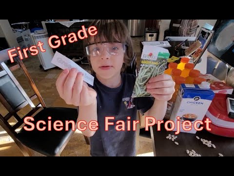 Liam's First Grade Science Fair Project - YouTube