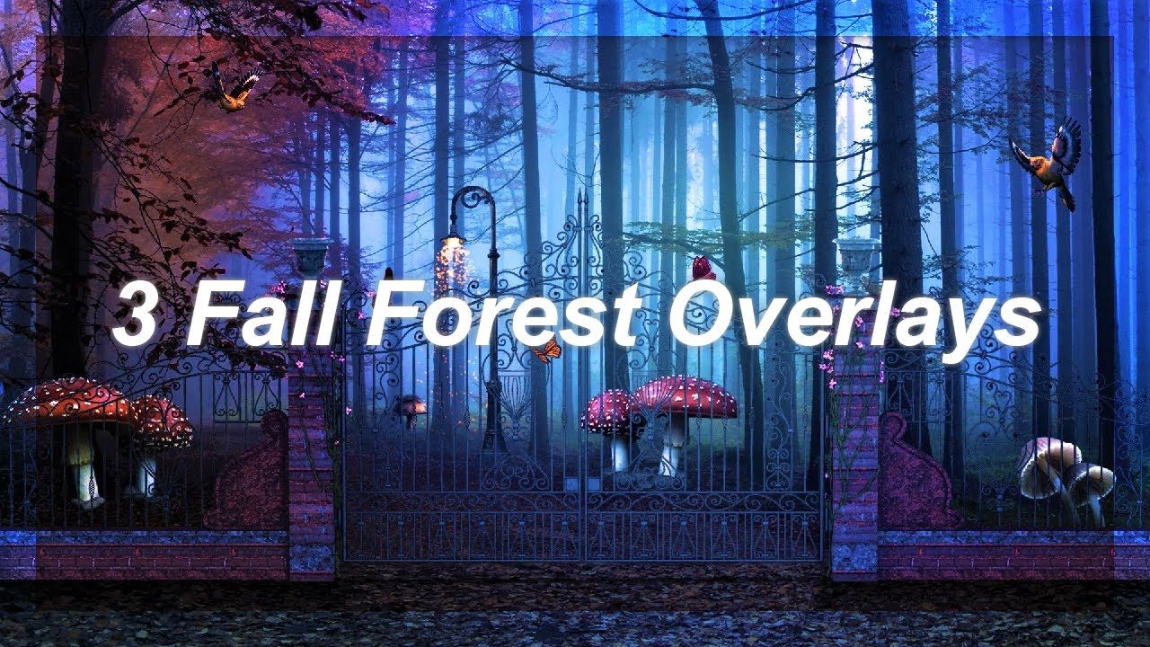 🍁 3 Minecraft Fall Forest Sky Overlays (With Download) | Sky Overlay ...