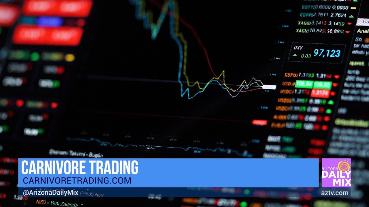 Learn How to Execute High Quality Trades with Carnivore Trading - YouTube