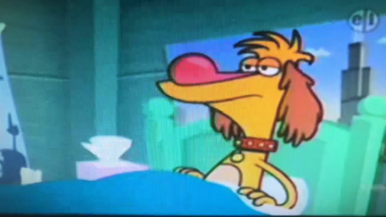 Nature Cat Hal is sick on the first day of Fall - YouTube