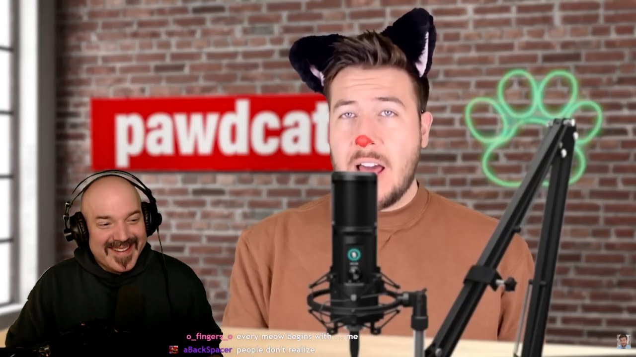 If Cats Had Podcasts | DG REACTS to Ryan George - YouTube
