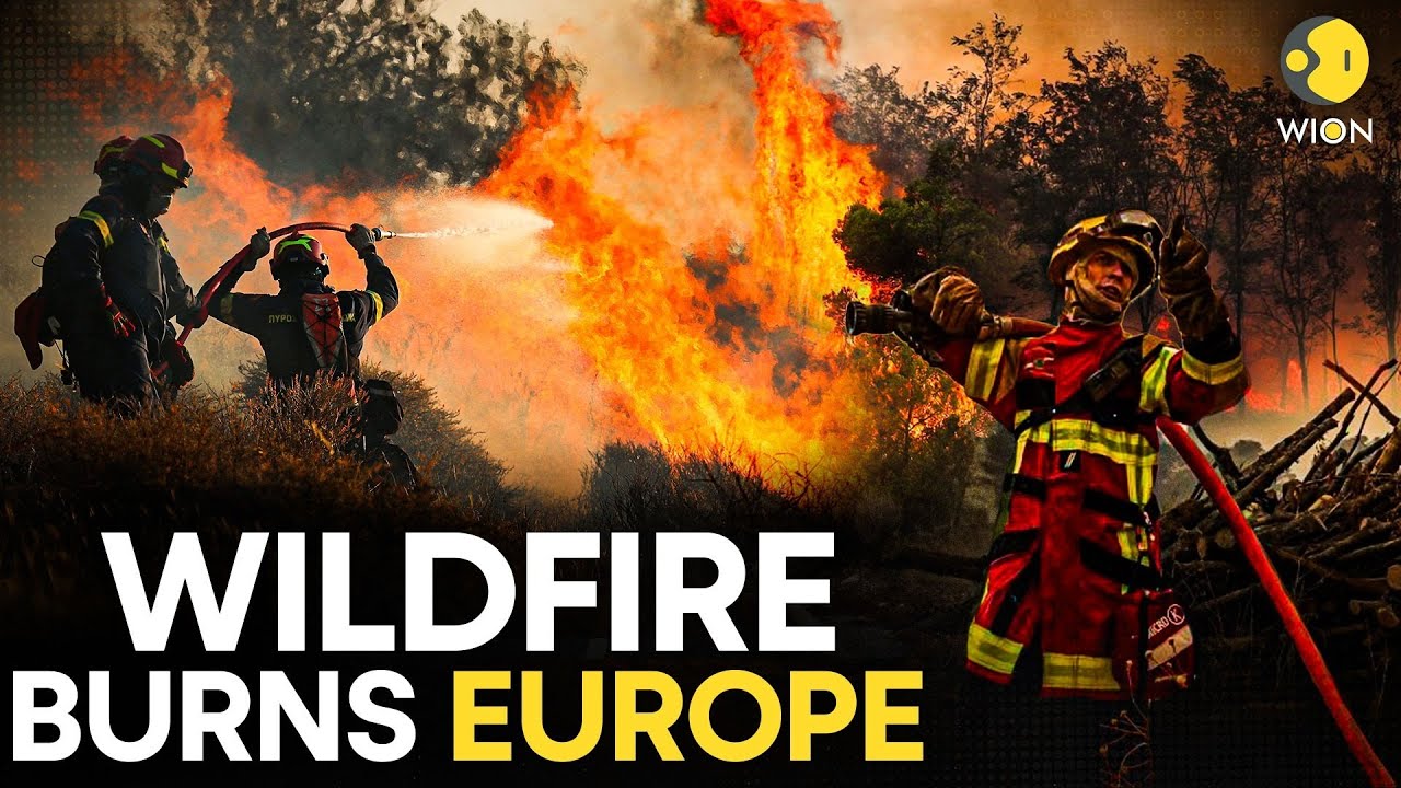 Europe Widfires LIVE: Europe on Fire! Worst Wildfires in 100 Years ...