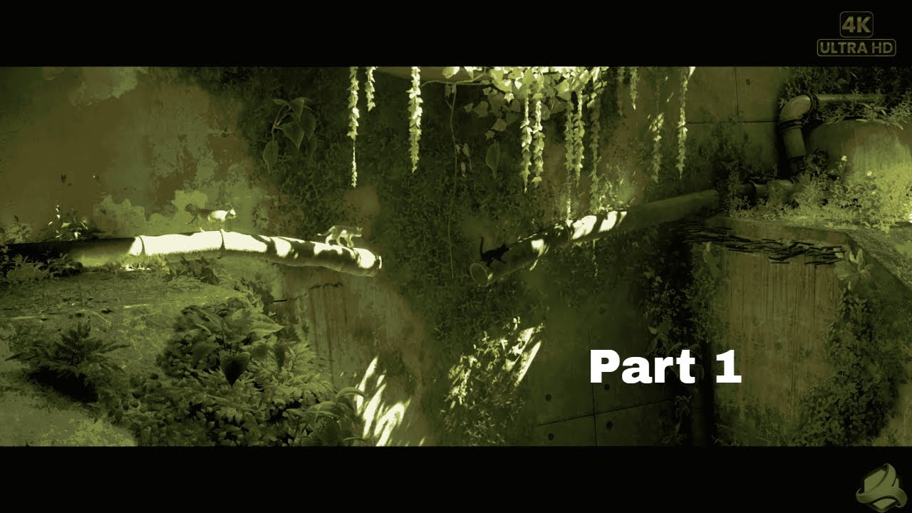 STRAY Gameplay Walkthrough Part 1 [4K 60FPS PS4] | Seven Game Club ...