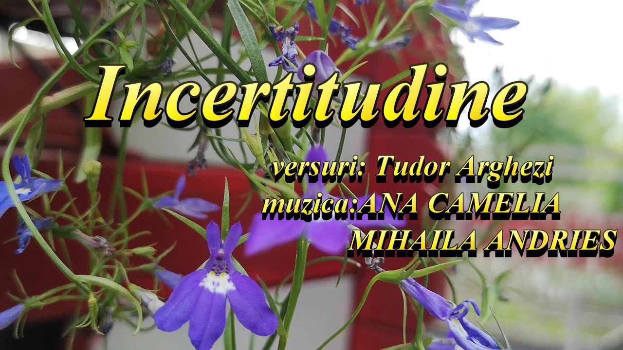 Incertitudine #foryou #viral #music #anacamelia #tudorarghezi - YouTube