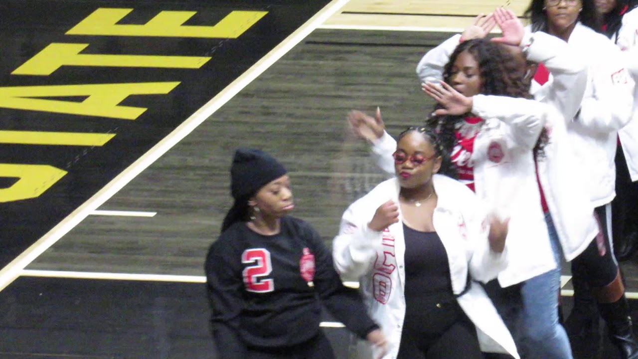 Alabama State University Delta BETA ETA | Halftime Performance | At ASU ...
