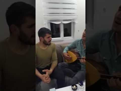 Hozan Besir elfida